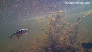 How to Avoid Getting Snagged While Fishing: 25 Tips and Tricks ...