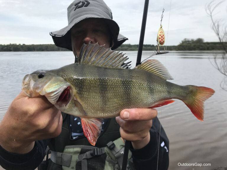 How to Fish Mepps Lures: Techniques and Fishing Tips for Success ...