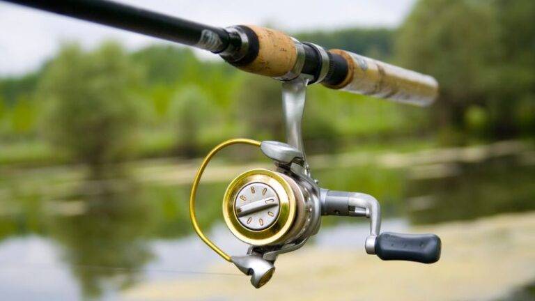 How To Choose A Spinning Reel - Outdoors Gap