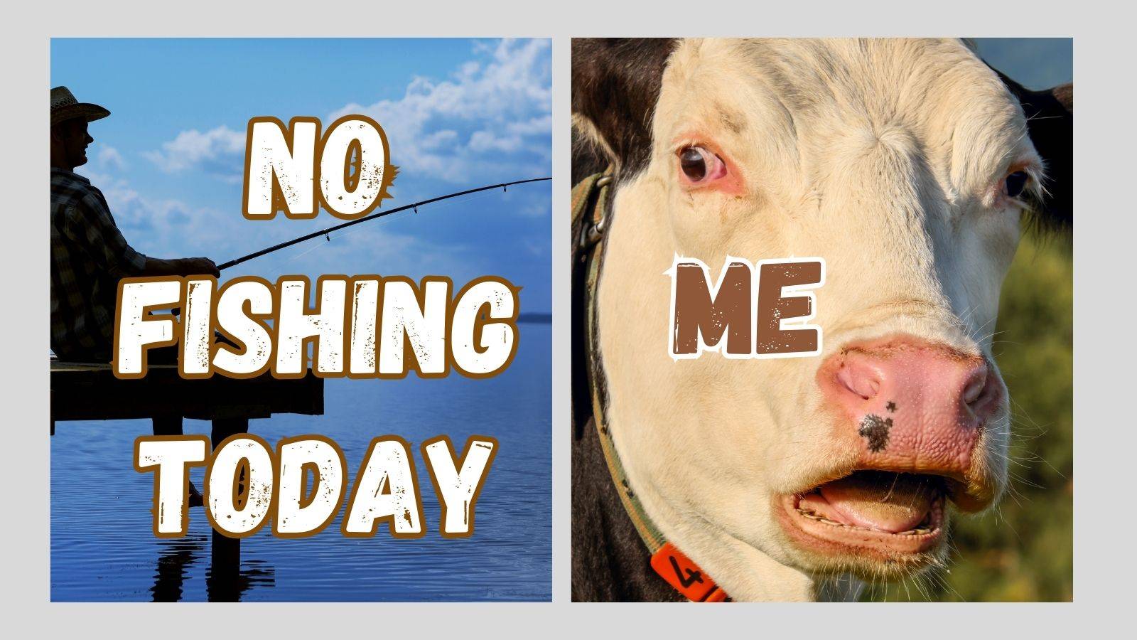 Fishing Memes - Outdoors Gap