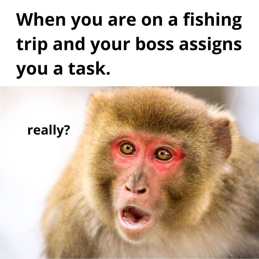 Fishing Memes - Outdoors Gap