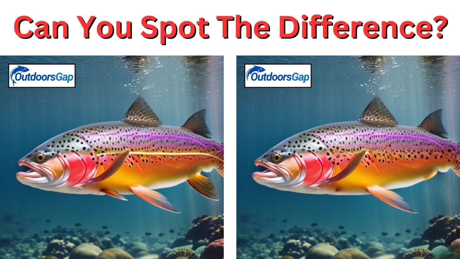 How To Transport Fishing Rods Tangle Free – 7 Easy DIY Ways - Outdoors Gap