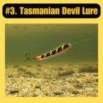 10 Best Lures For Trout Fishing That Help You Catch More Trout ...